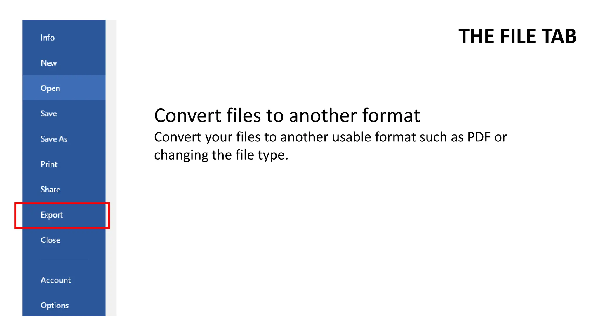 MS Word Interface.pptx
