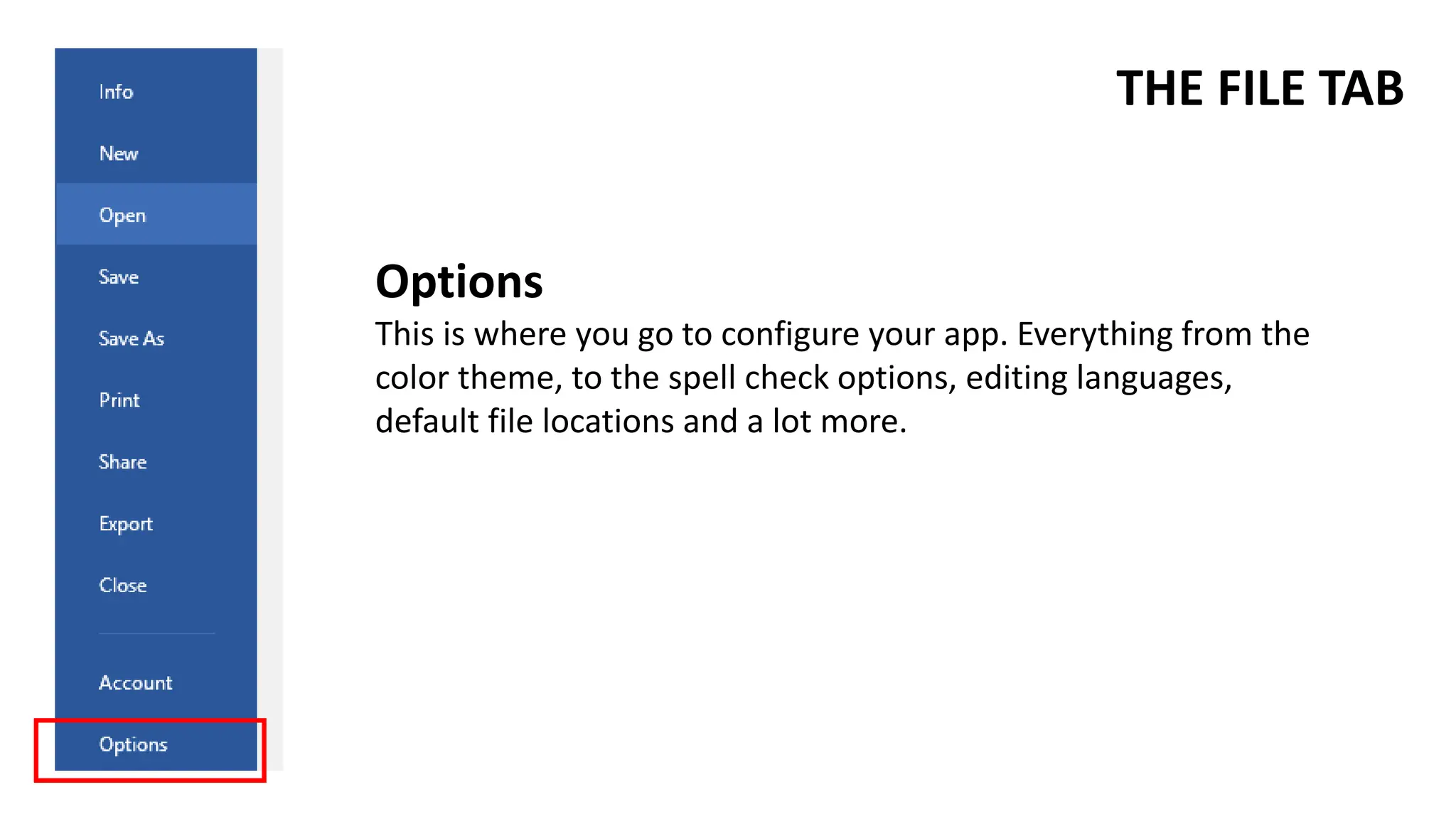 MS Word Interface.pptx