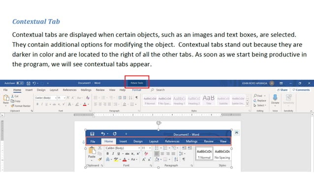 MS Word Interface.pptx