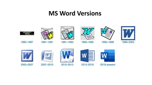 MS Word Interface.pptx