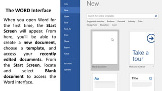MS Word Interface.pptx