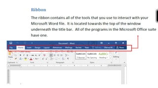 MS Word Interface.pptx