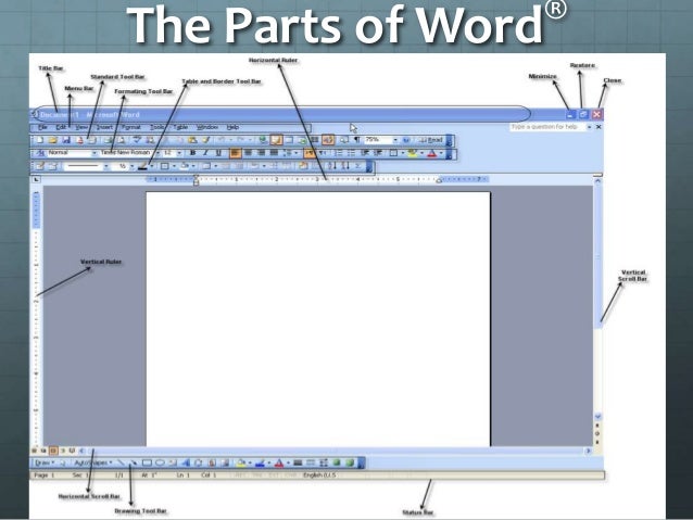 MS Word Introduction