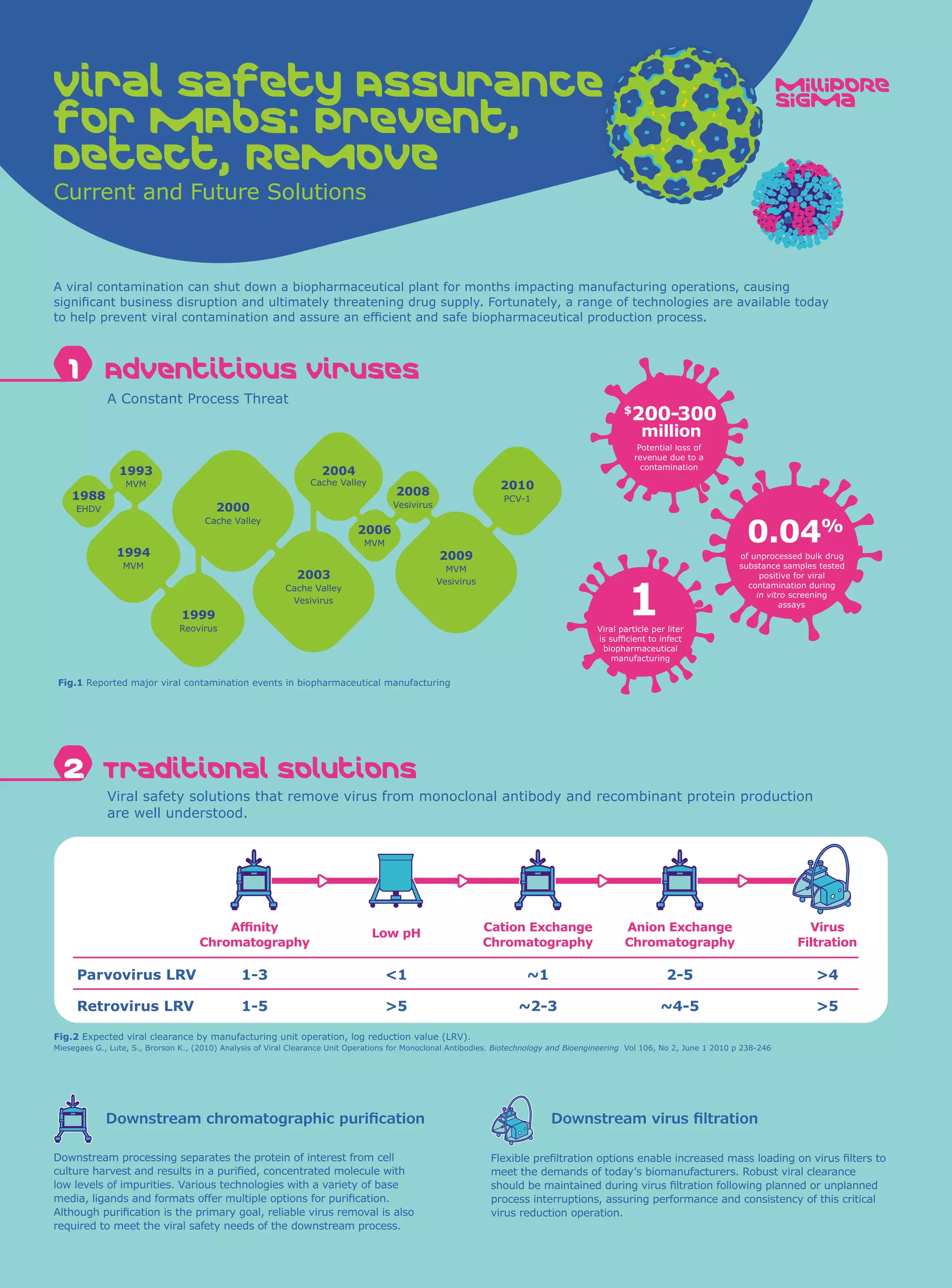 Viral Risk Mitigation - A Global Regulatory Perspective | PDF