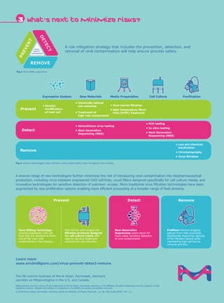 Viral Risk Mitigation - A Global Regulatory Perspective | PDF