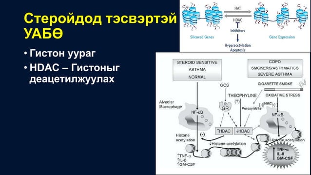 Уушгины архаг бөглөрөлт өвчин эмгэгжам