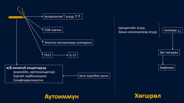 Уушгины архаг бөглөрөлт өвчин эмгэгжам