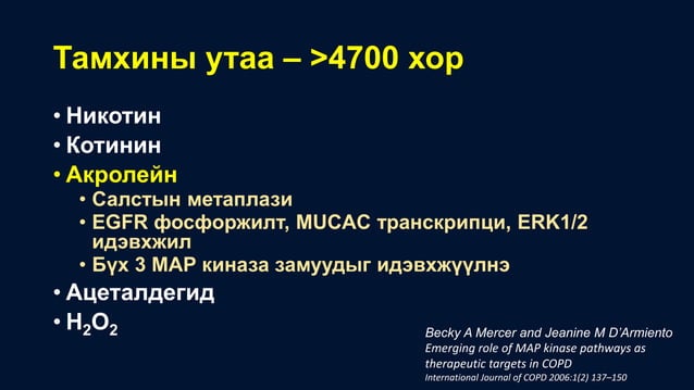 Уушгины архаг бөглөрөлт өвчин эмгэгжам