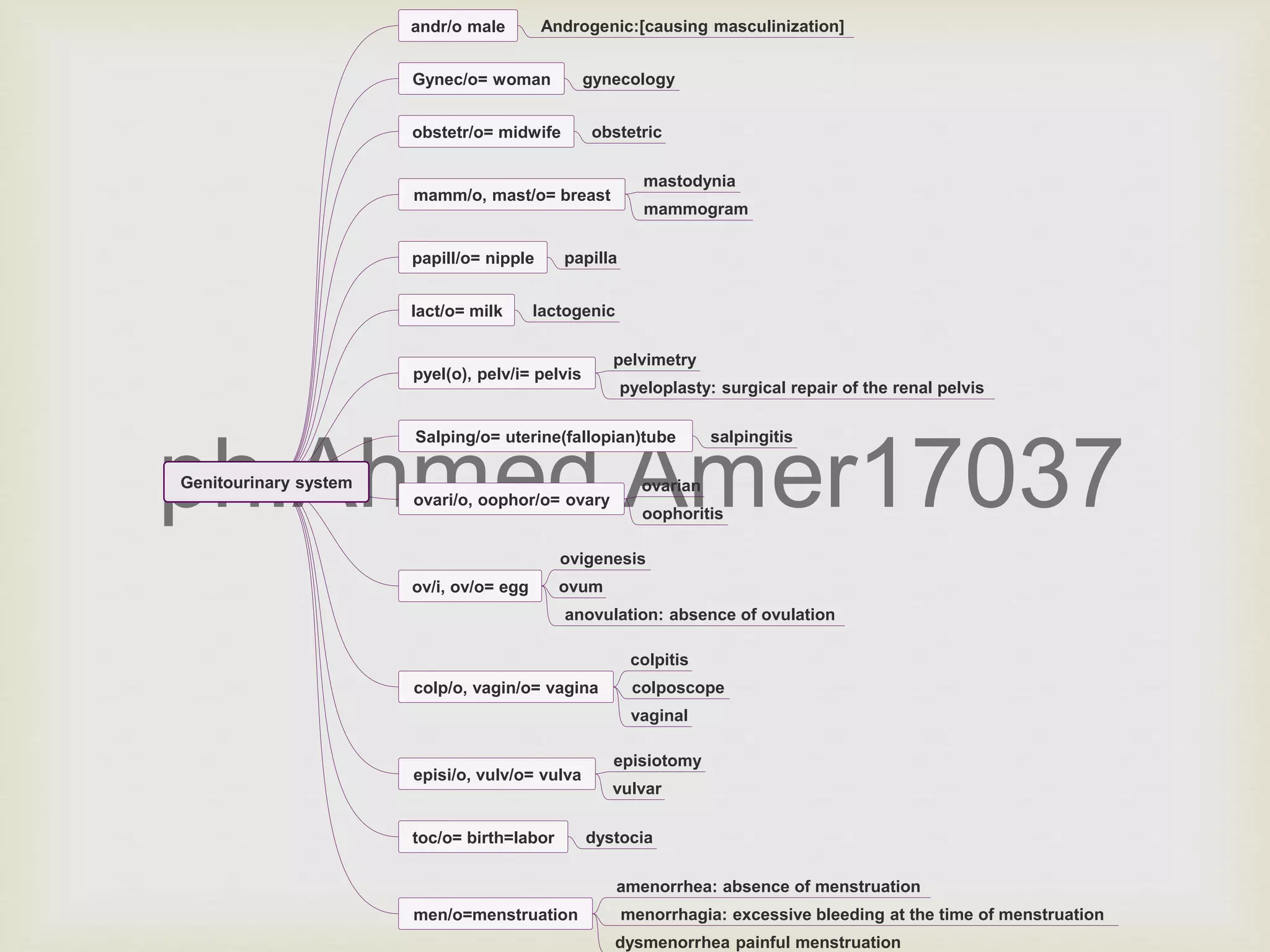 Medical Terminology Mindmap | PPTX