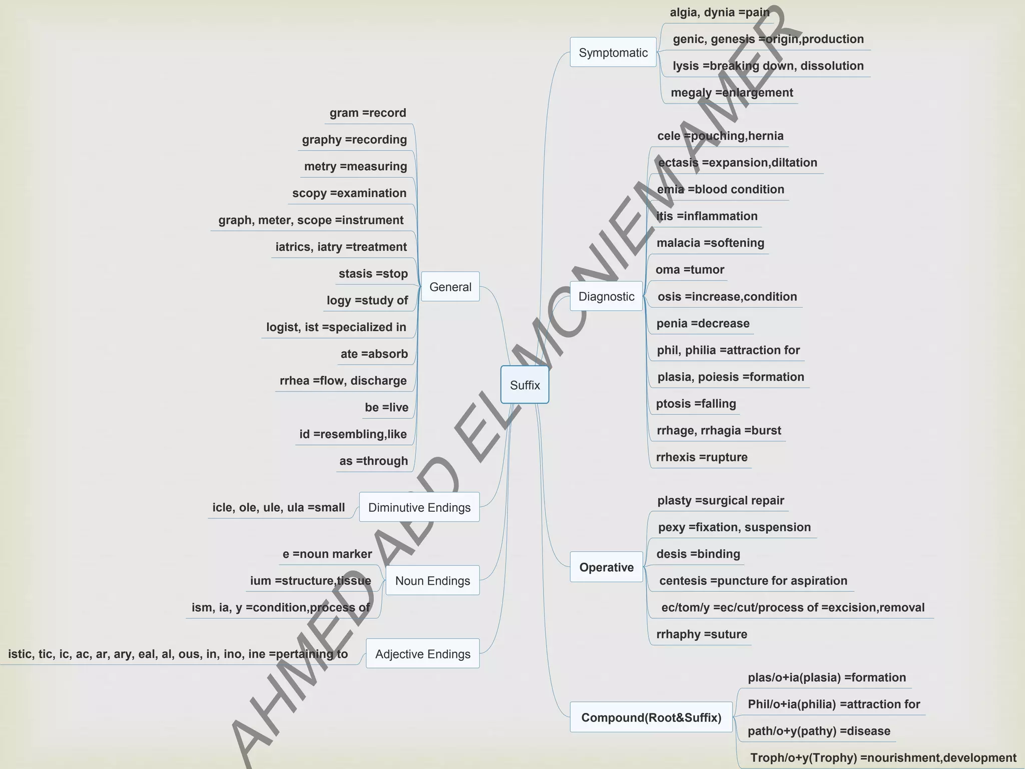 Medical Terminology Mindmap | PPTX