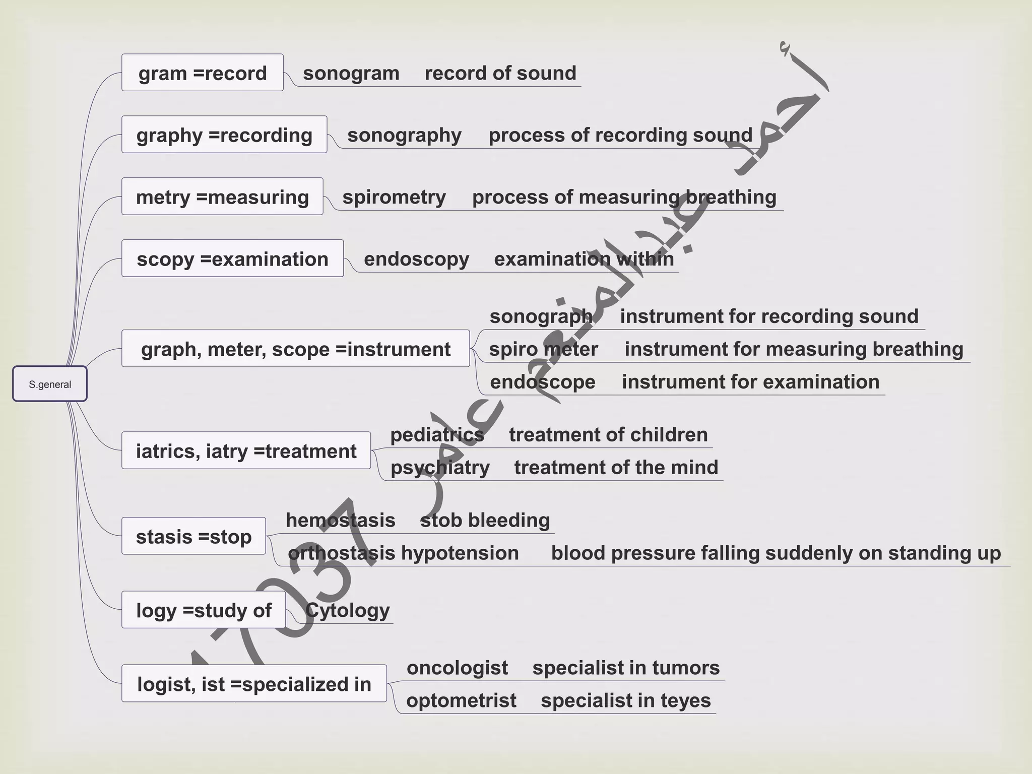 Medical Terminology Mindmap | PPTX