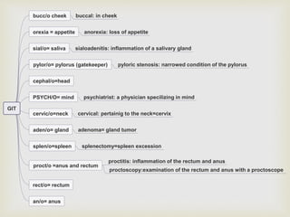 Medical Terminology Mindmap | PPTX