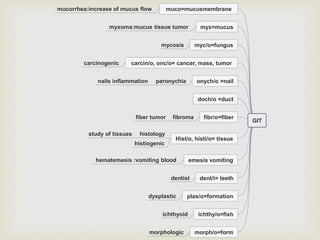 Medical Terminology Mindmap | PPTX