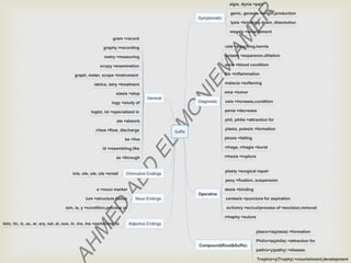 Medical Terminology Mindmap | PPT