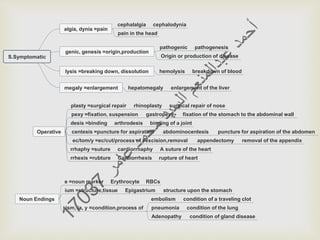 Medical Terminology Mindmap | PPT