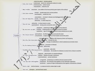 Medical Terminology Mindmap | PPTX