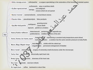 Medical Terminology Mindmap | PPTX