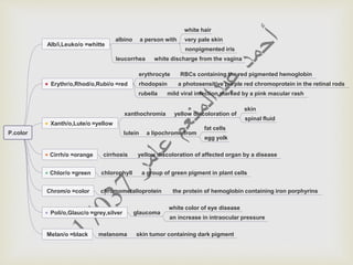 Medical Terminology Mindmap | PPT