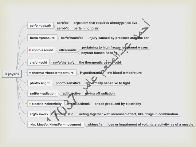 Medical Terminology Mindmap | PPTX