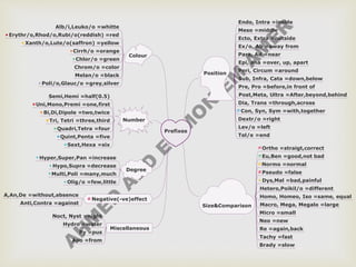 Medical Terminology Mindmap | PPT