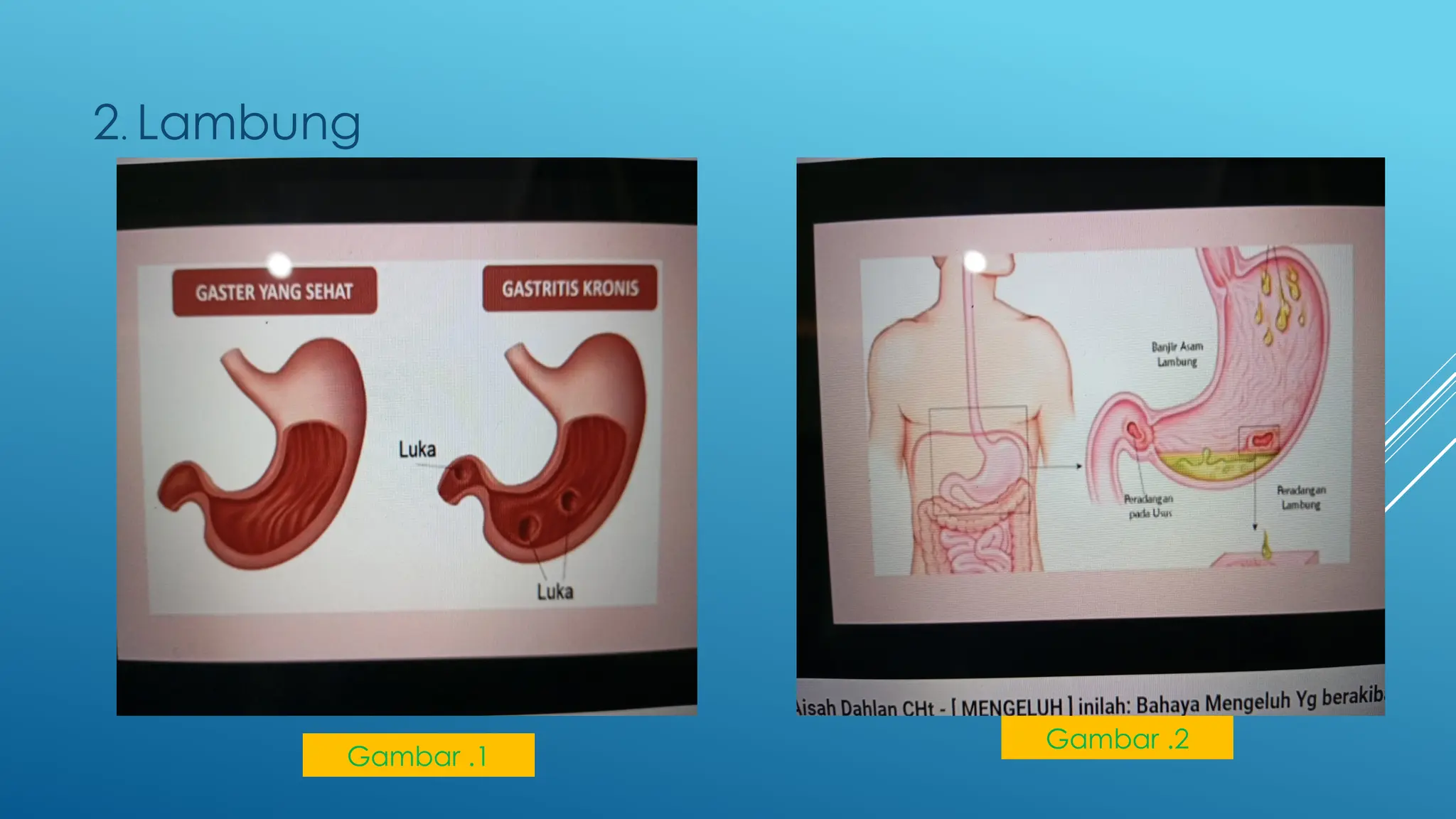 MT.7.50 MARI KENALIN ORGAN TUBUH KITA, Season 1.pptx