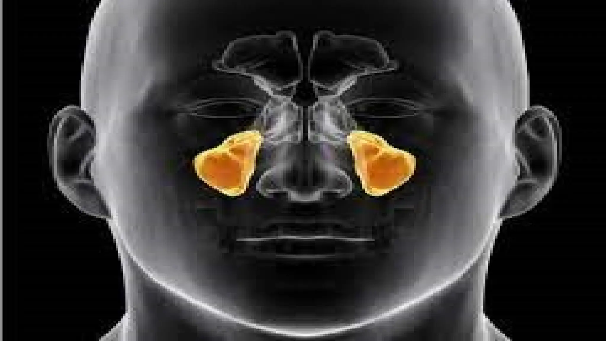 maxillary sinus examination for undergraduates .pptx