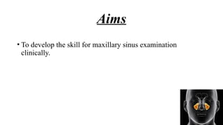 maxillary sinus examination for undergraduates .pptx