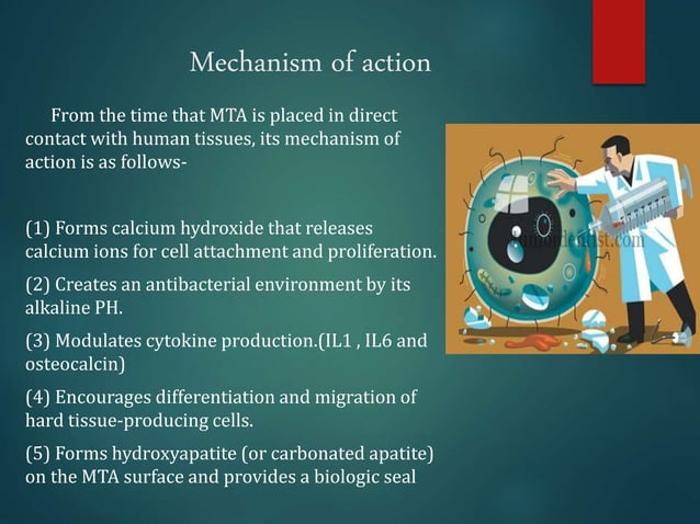 mineral trioxide aggregate.shadan | PPTX | Oral care | Personal Care