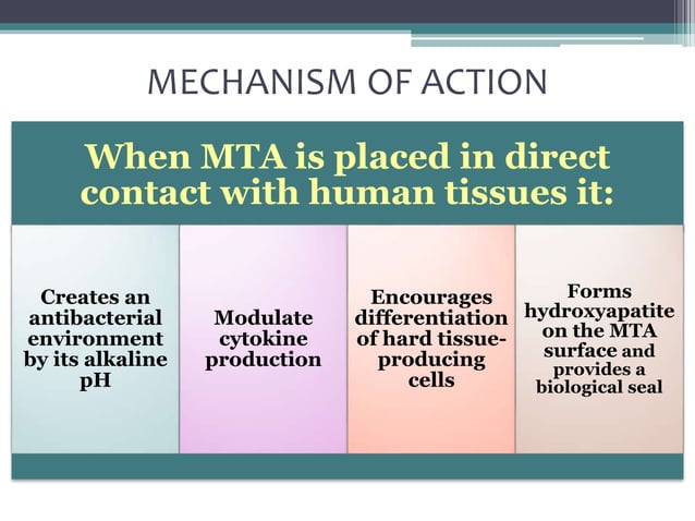 MTA & Biodentine | PPTX | Oral care | Personal Care