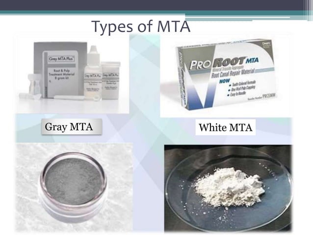 MTA & Biodentine | PPTX | Oral care | Personal Care