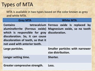 MTA | PDF