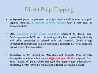 Mta presentation | PPTX