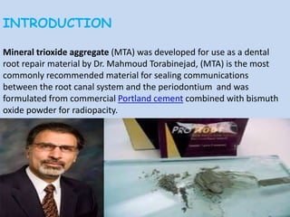 Mta presentation | PPTX