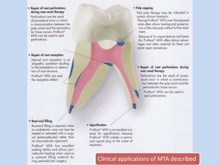 Mta presentation | PPTX