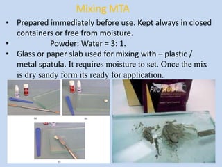 Mta presentation | PPTX