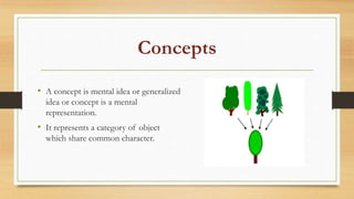 Theory, rule, law and concept | PPTX