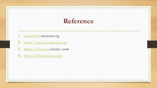 Theory, rule, law and concept | PPTX