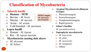 Mycobacterium tuberculosis | PPTX
