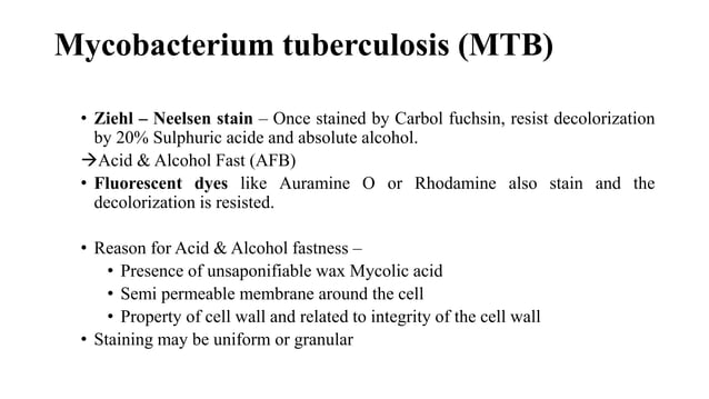 Mycobacterium Tuberculosis | PPT