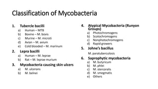 Mycobacterium Tuberculosis | PPT