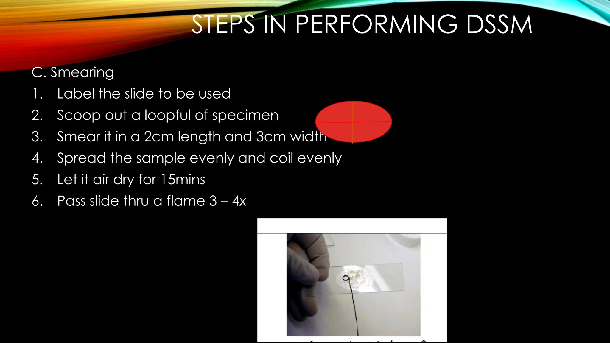 MTB & Biosafety Epidemiology, Hazards, Treatment & Diagnostics | PDF