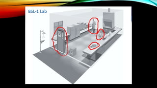 MTB & Biosafety Epidemiology, Hazards, Treatment & Diagnostics | PDF