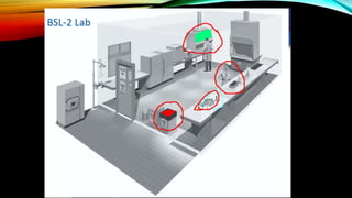 MTB & Biosafety Epidemiology, Hazards, Treatment & Diagnostics | PDF