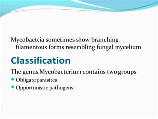 Mycobacterium tuberculosis | PPT