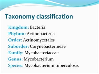 Mycobacterium tuberculosis | PPT