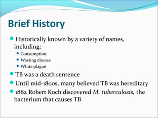 Mycobacterium tuberculosis | PPT
