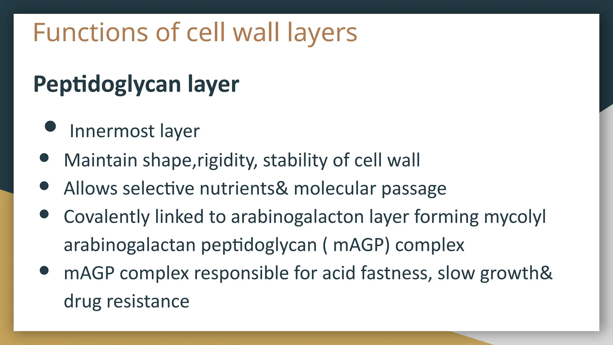 Morphology of mycobacterium tuberculosis | PPTX