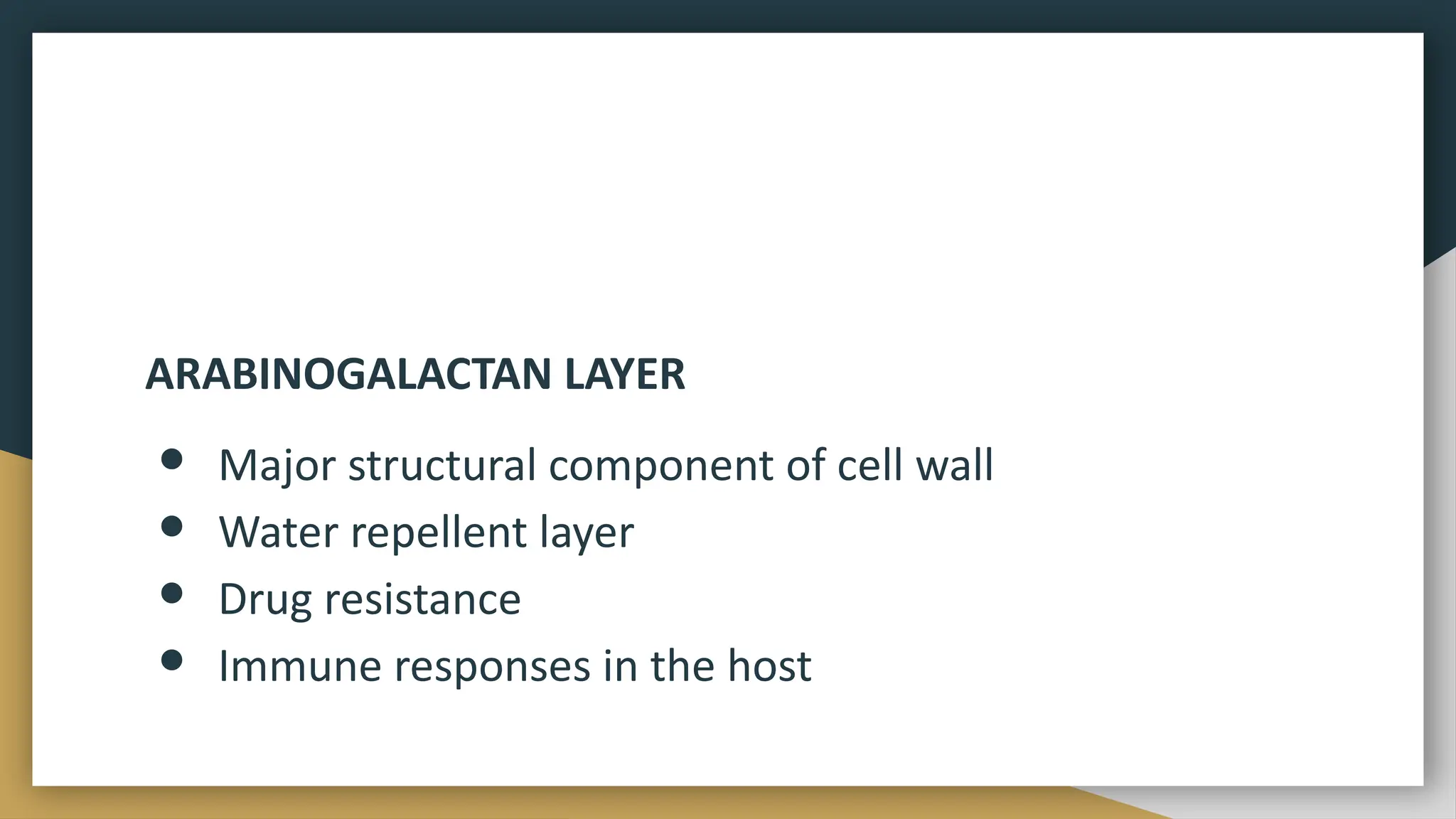 Morphology of mycobacterium tuberculosis | PPTX