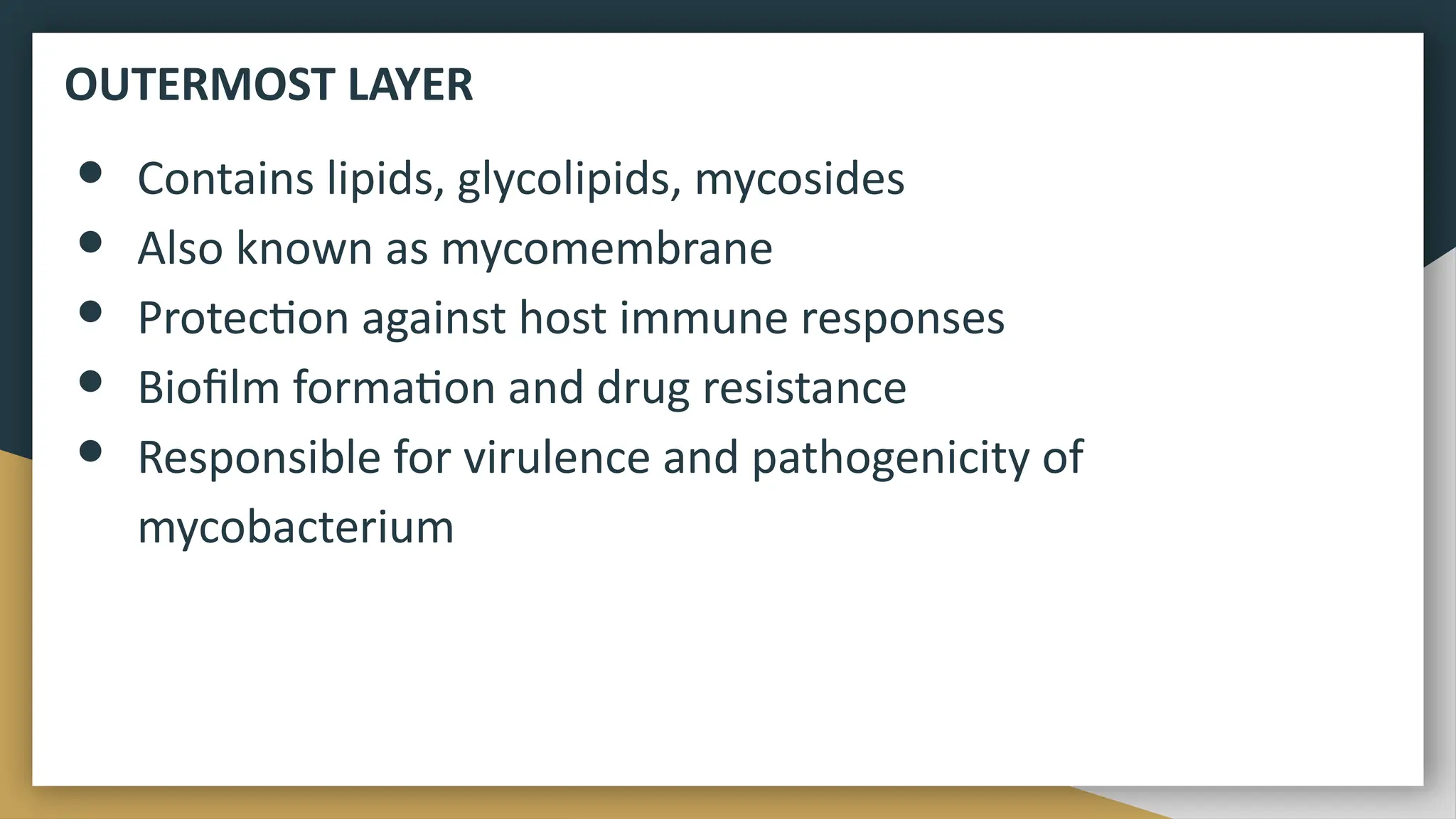 Morphology of mycobacterium tuberculosis | PPTX