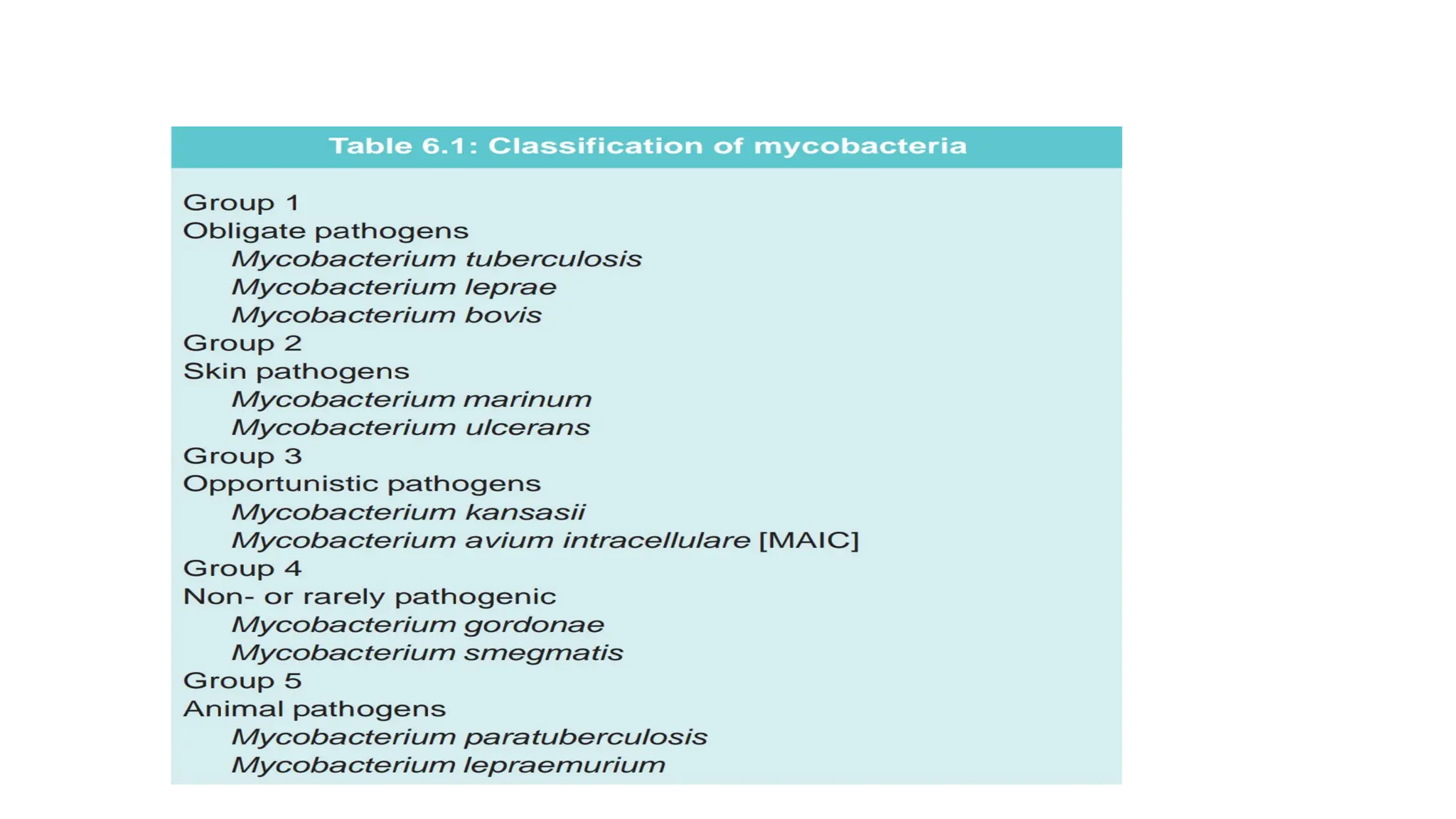 Morphology of mycobacterium tuberculosis | PPTX